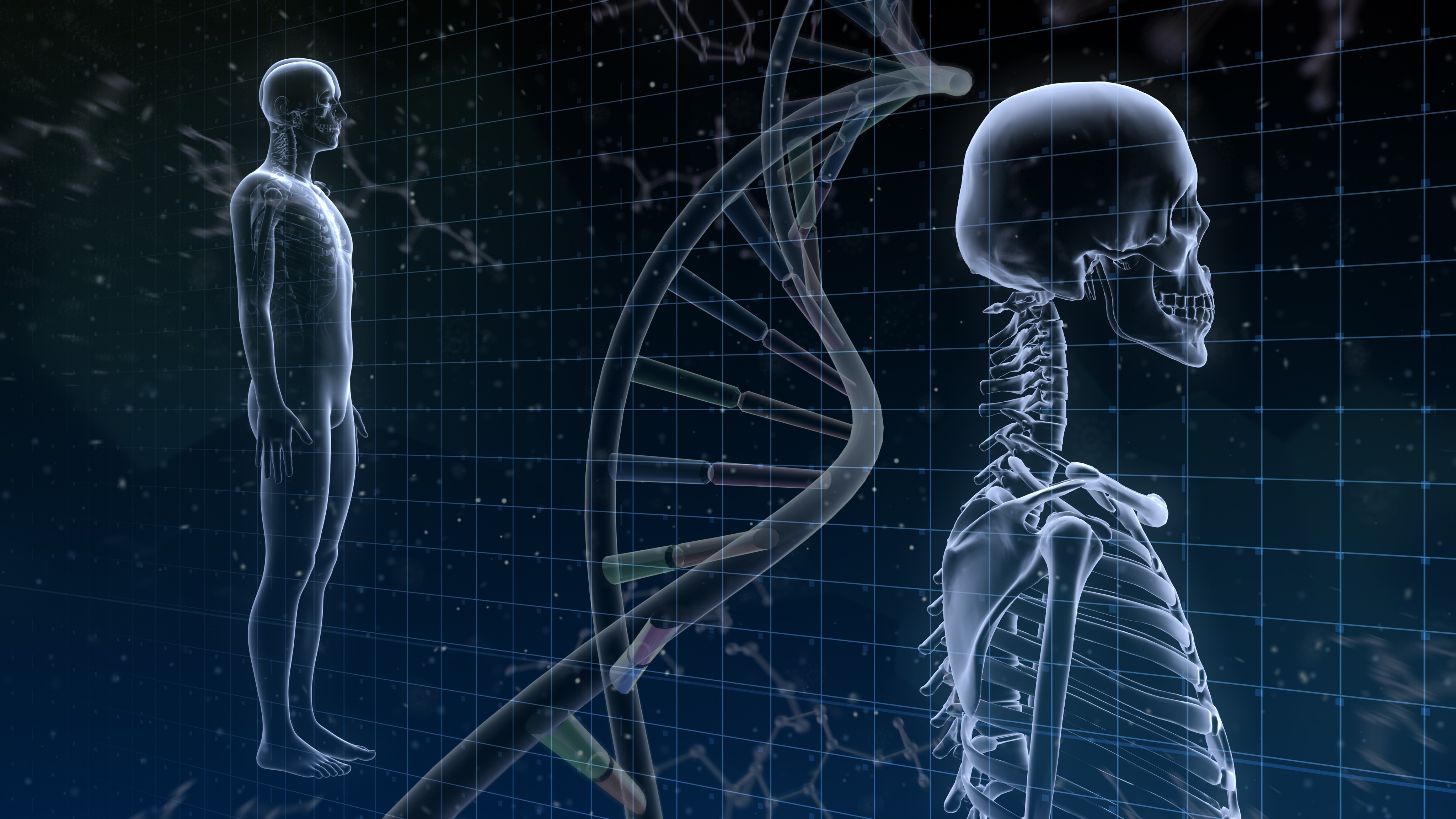 ADN-ul, o nouă metodă de a promova creșterea osoasă - 360medical.ro