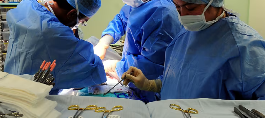 Oamenii de știință testează un nou instrument care ar putea ajuta la ...